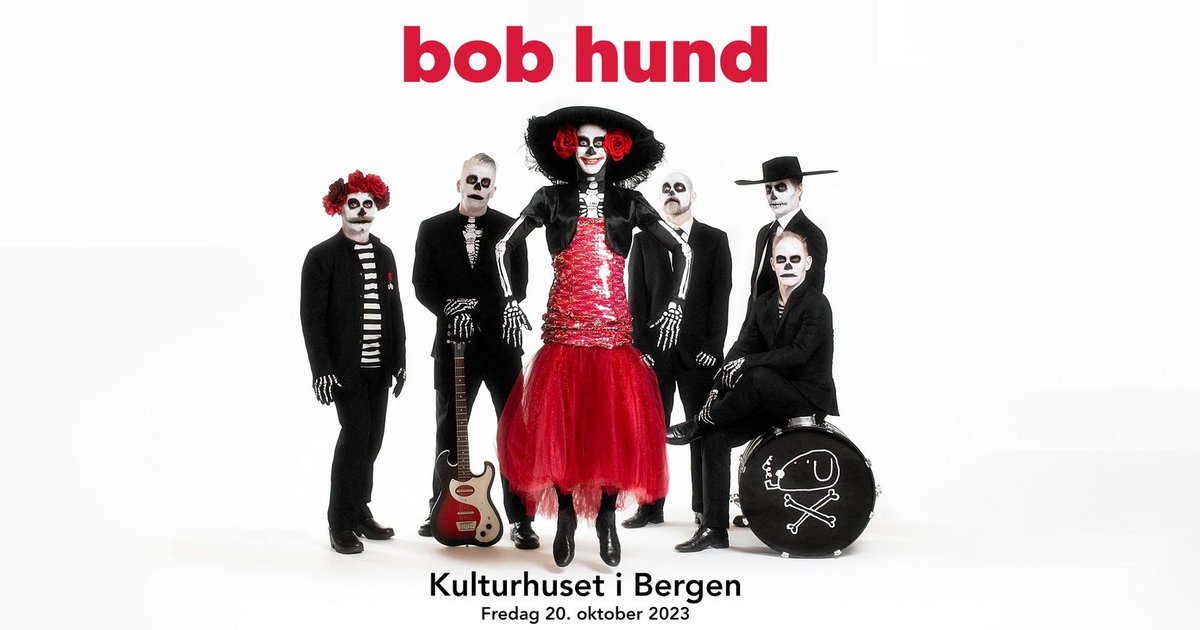 bob hund | Kulturhuset i Bergen AS